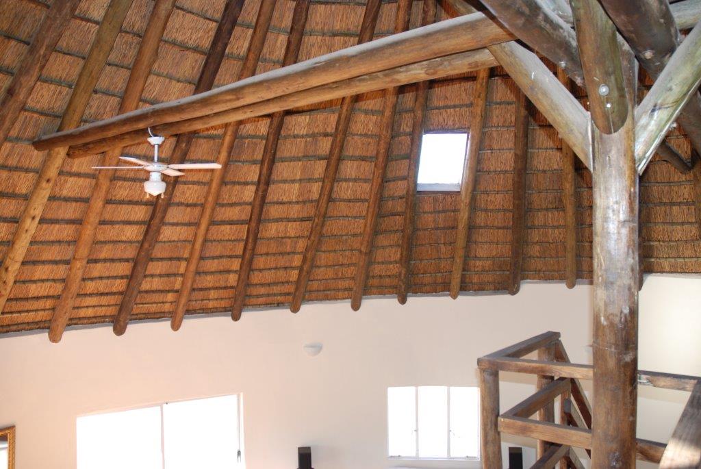 Skylights – Redruth Thatching